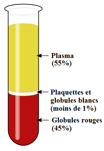 Mise en situation :: ~~~ TPE ~~~ La thérapie cellulaire